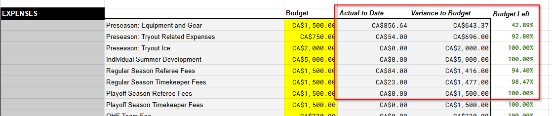 Minor Hockey Budget Management and Automation | ALEX BEVILACQUA